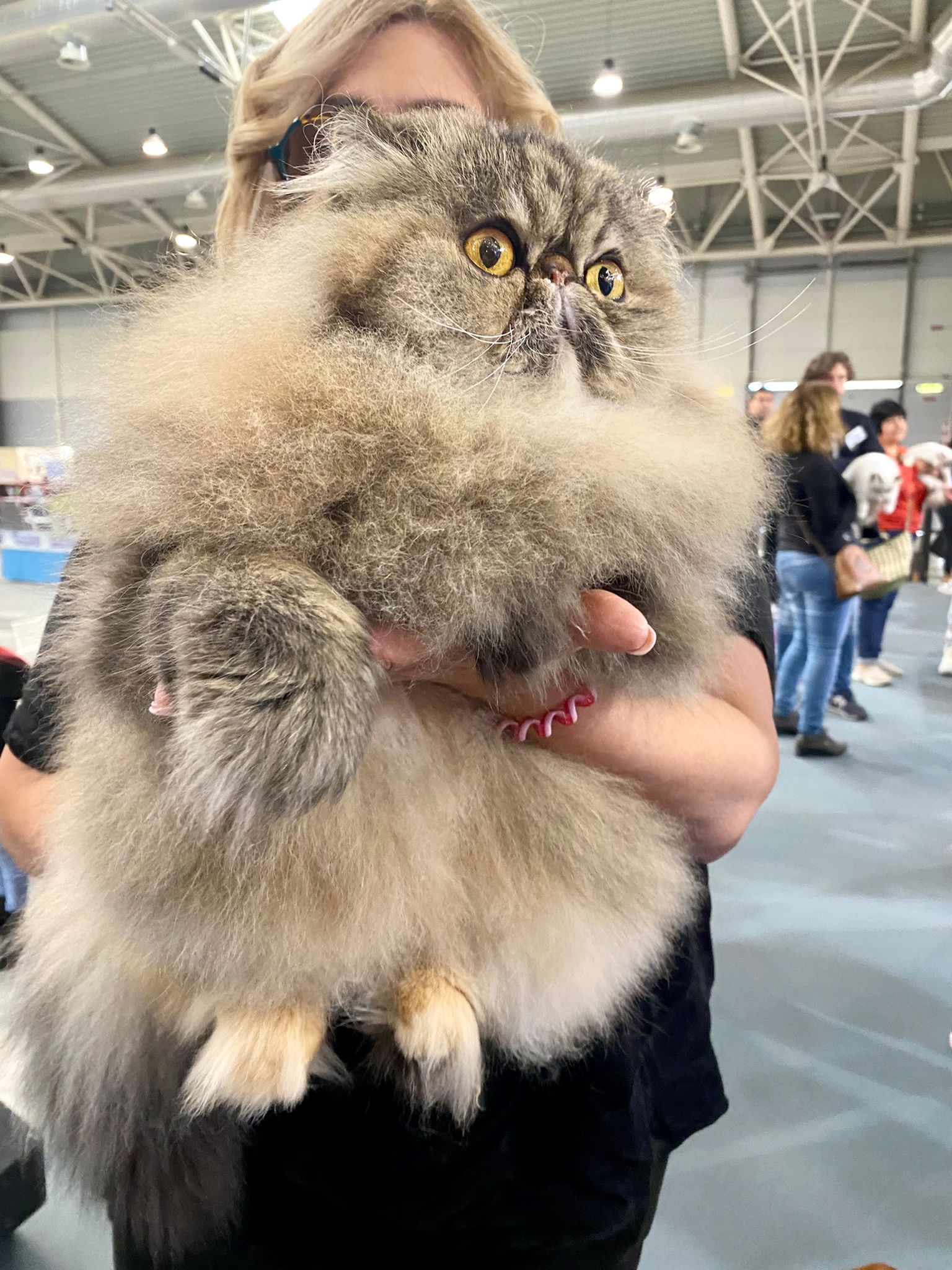 La Campionessa del Mondo Bette Davis al SuperCat Show
